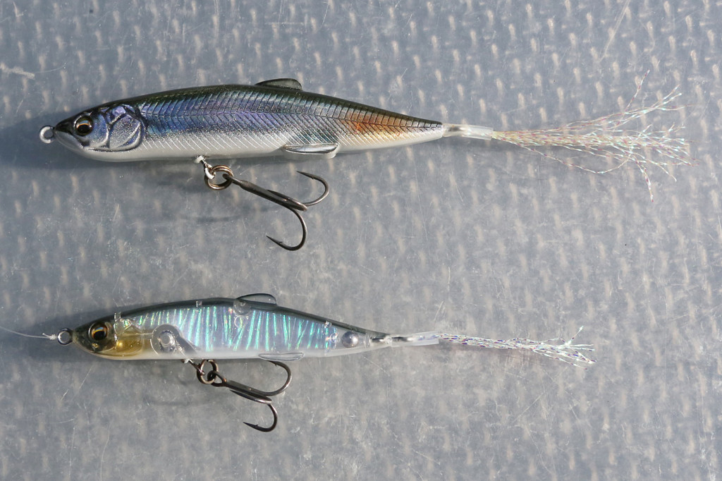 三原節[みはらぶし]其の捌（vol.8）「アイアローの小ぶりサイズをエグる」 | 釣りの総合動画サイト「Vish（ヴィッシュ）」