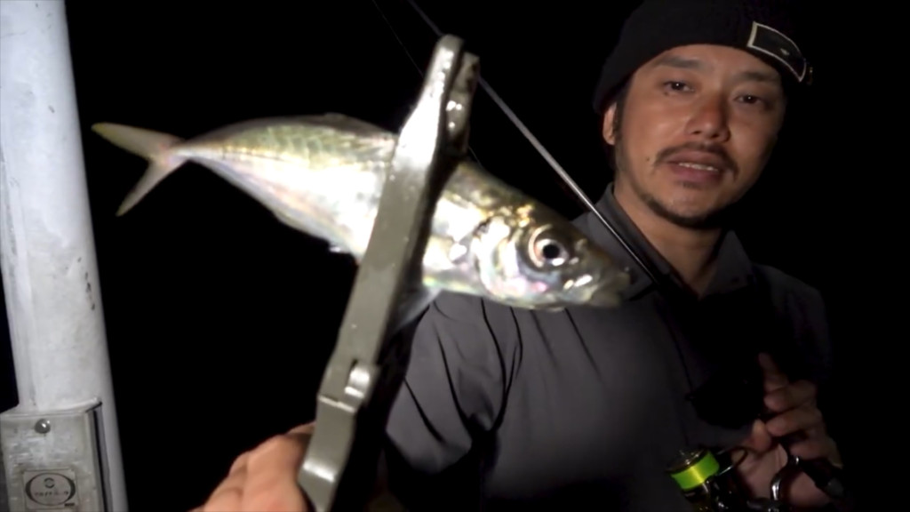 トミー敦のあじすた！vol.11 「表層パターンのキーワード」 | 釣りの総合動画サイト「Vish（ヴィッシュ）」