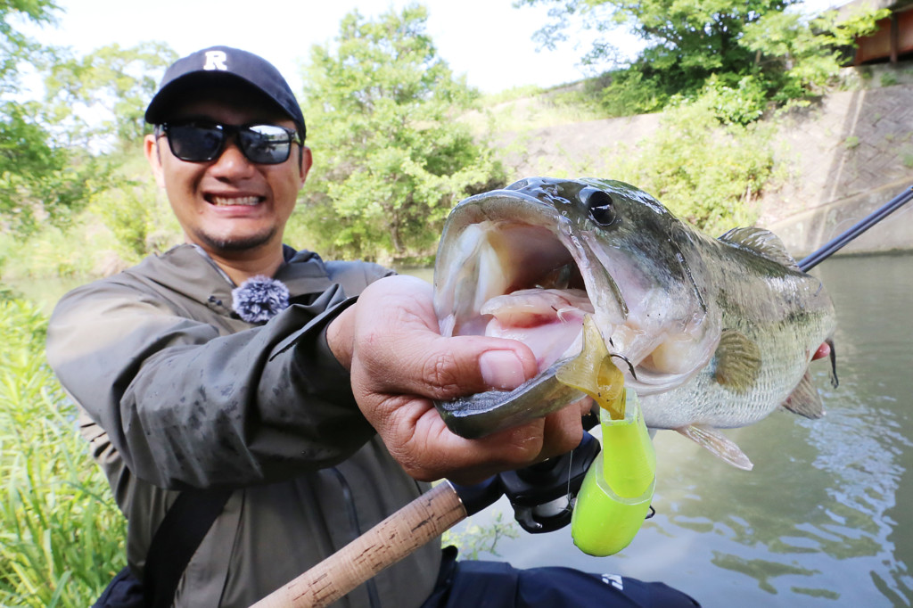 OKaTV バンクトレイル5 「初夏の川バス攻略・理想パターン（梅雨＆初夏の紀の川編）」 | 釣りの総合動画サイト「Vish（ヴィッシュ）」