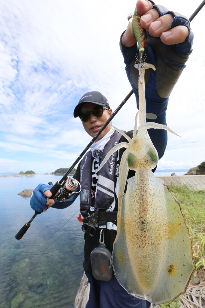 餌木蔵劇場vol.12 「高活性なイカ攻略は78のショートロッドとベイトフェザー2.0」 | 釣りの総合動画サイト「Vish（ヴィッシュ）」