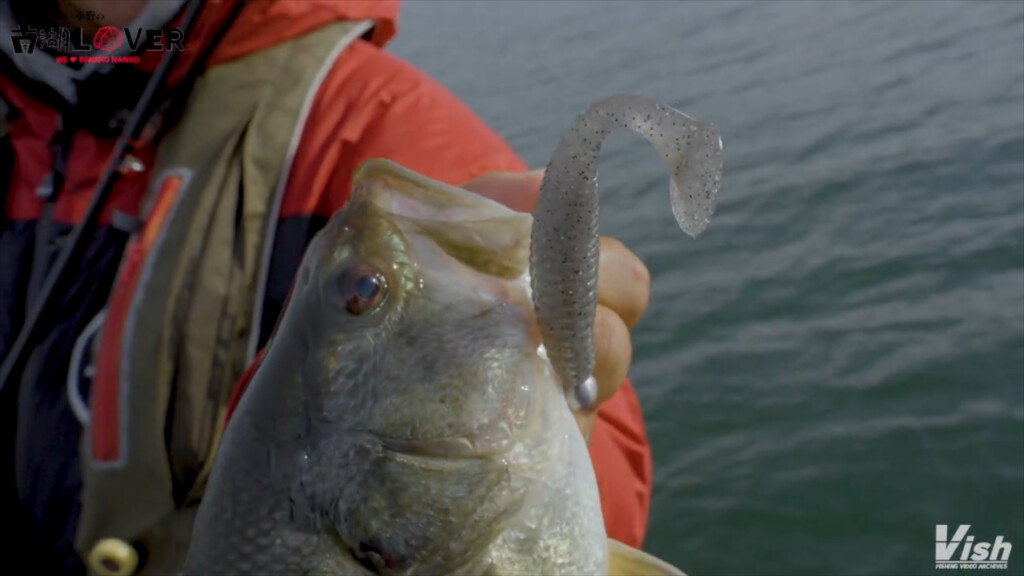 南湖LOVER vol.8 「泳層直撃！ スイムジグ展開」 | 釣りの総合動画サイト「Vish（ヴィッシュ）」