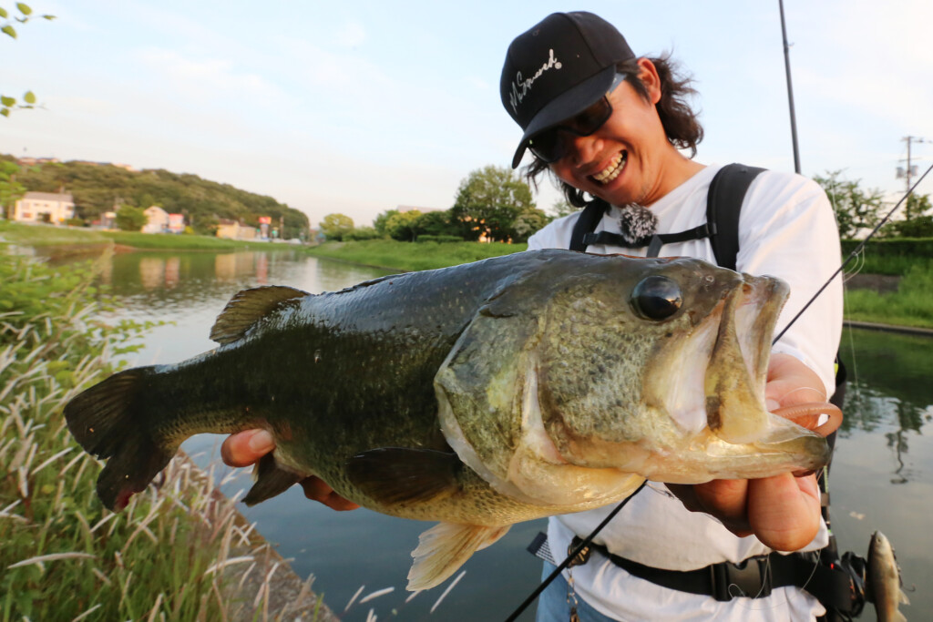 三原節 其の拾弐（vol.12） 「初夏の川バス捜索in倉敷川」 | 釣りの総合動画サイト「Vish（ヴィッシュ）」