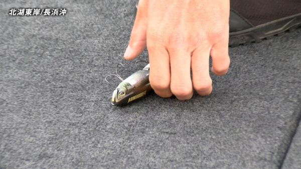 奥田学ビッグセオリーvol.14 「初夏の浮きバス直結攻め【アーマジョイント190SF】」 | 釣りの総合動画サイト「Vish（ヴィッシュ）」