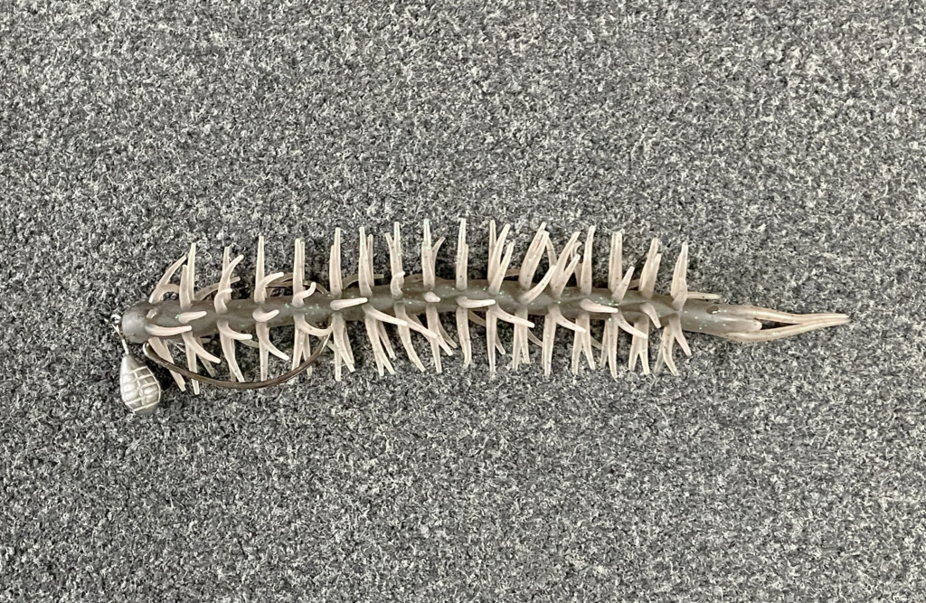 南湖LOVER vol.9 「真夏のたまらんばいワーミング選」 | 釣りの総合動画サイト「Vish（ヴィッシュ）」