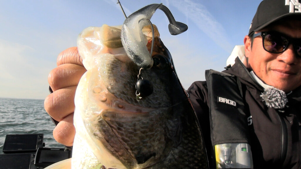 キムケンスタイルvol.20 「食わせのNEWスタイルは軽スト【スパークシャッド3.6inch】」 | 釣りの総合動画サイト「Vish（ヴィッシュ）」