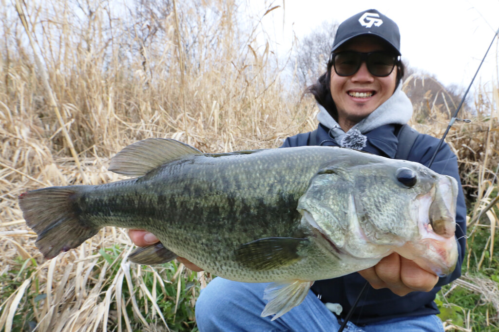 三原節[みはらぶし]vol.14 「神出鬼没の春バスと騙し合い大合戦」 | 釣りの総合動画サイト「Vish（ヴィッシュ）」